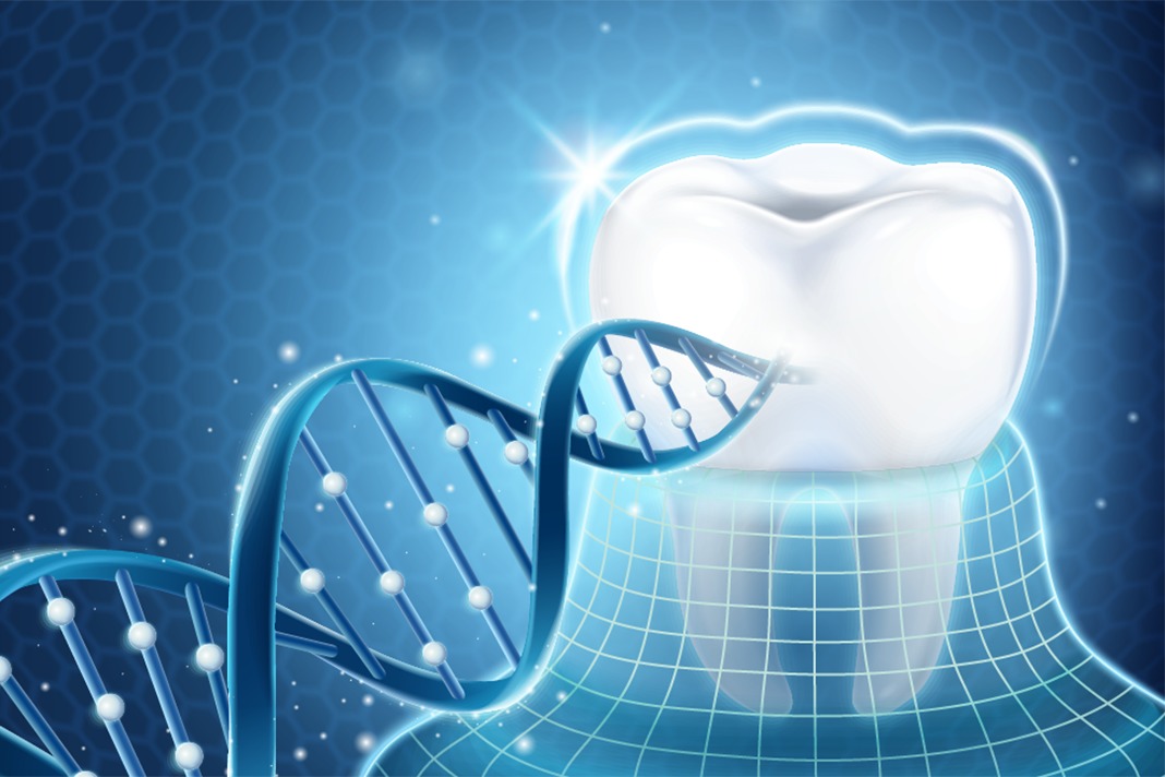Scientists Discover New Gene That Can Help Repair Teeth - Today's RDH