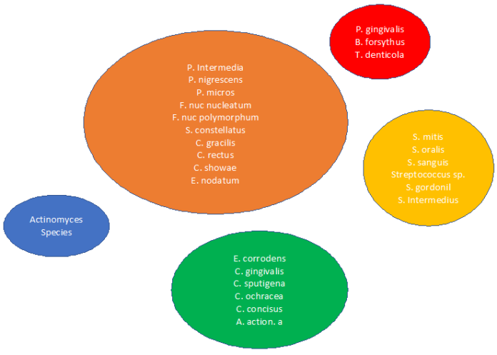 Pathogen Classifications: Where Dentistry Has Gone Since The “Complex ...