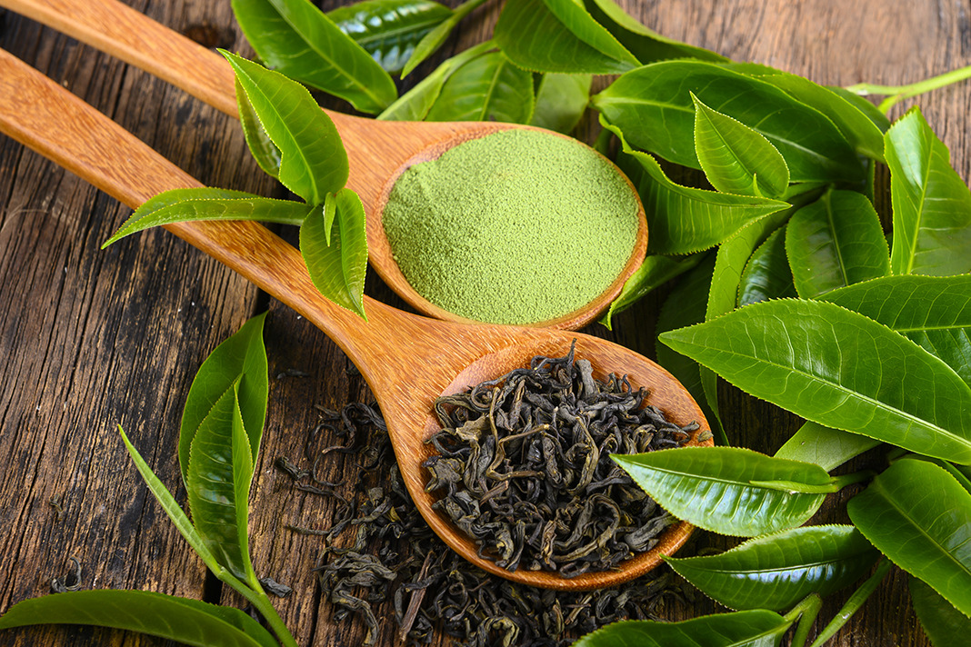Systemic Review Reveals Green Tea Variants in Oral Rinses Show Efficacy ...