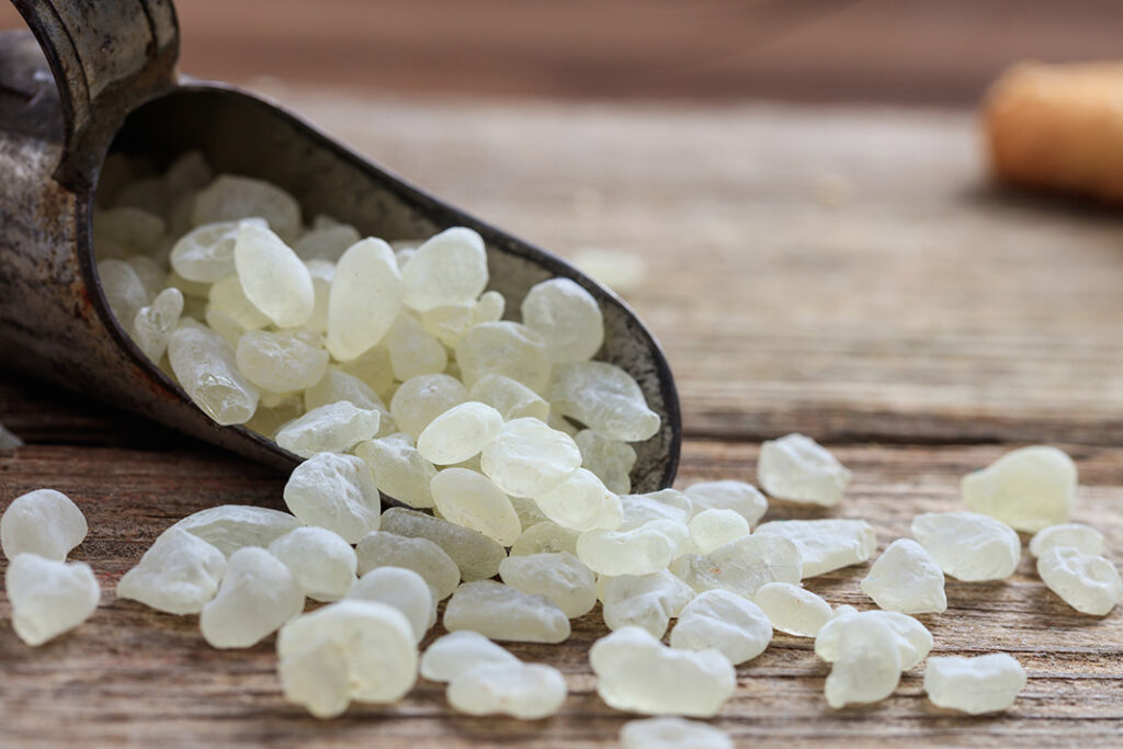 Mastic Gum